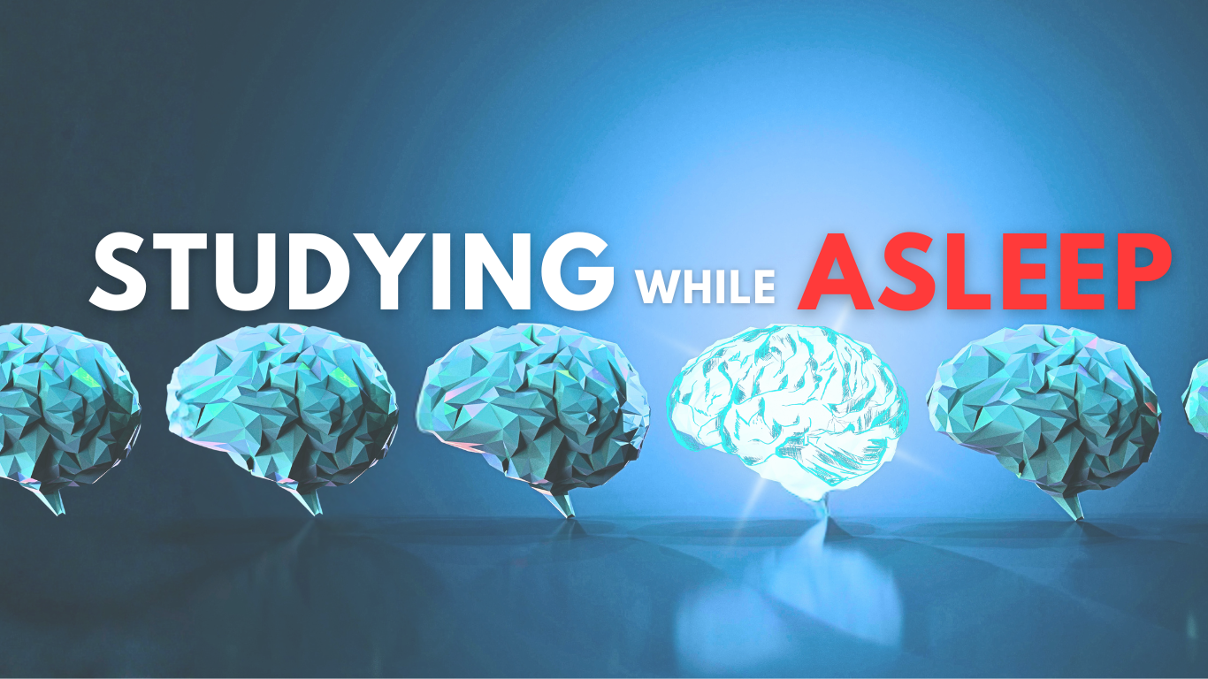 Why You Feel Sleepy When You Study (and How to Fix It) - Theresa Orr